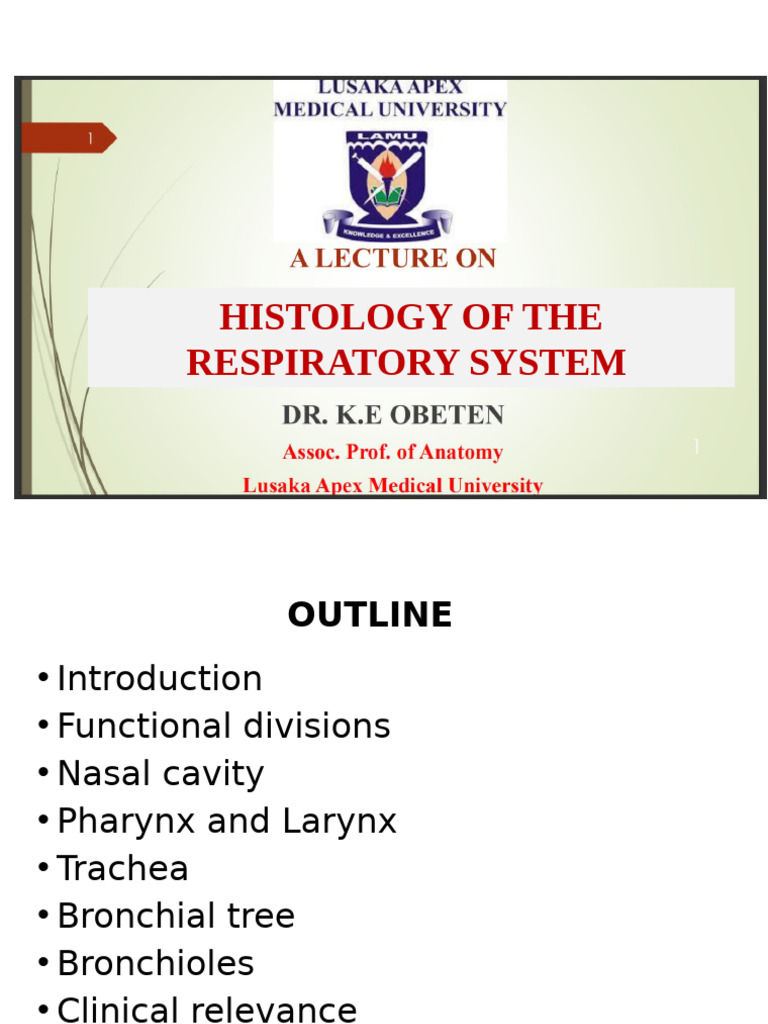 Respiratory System Histology | PDF | Respiratory Tract | Epithelium