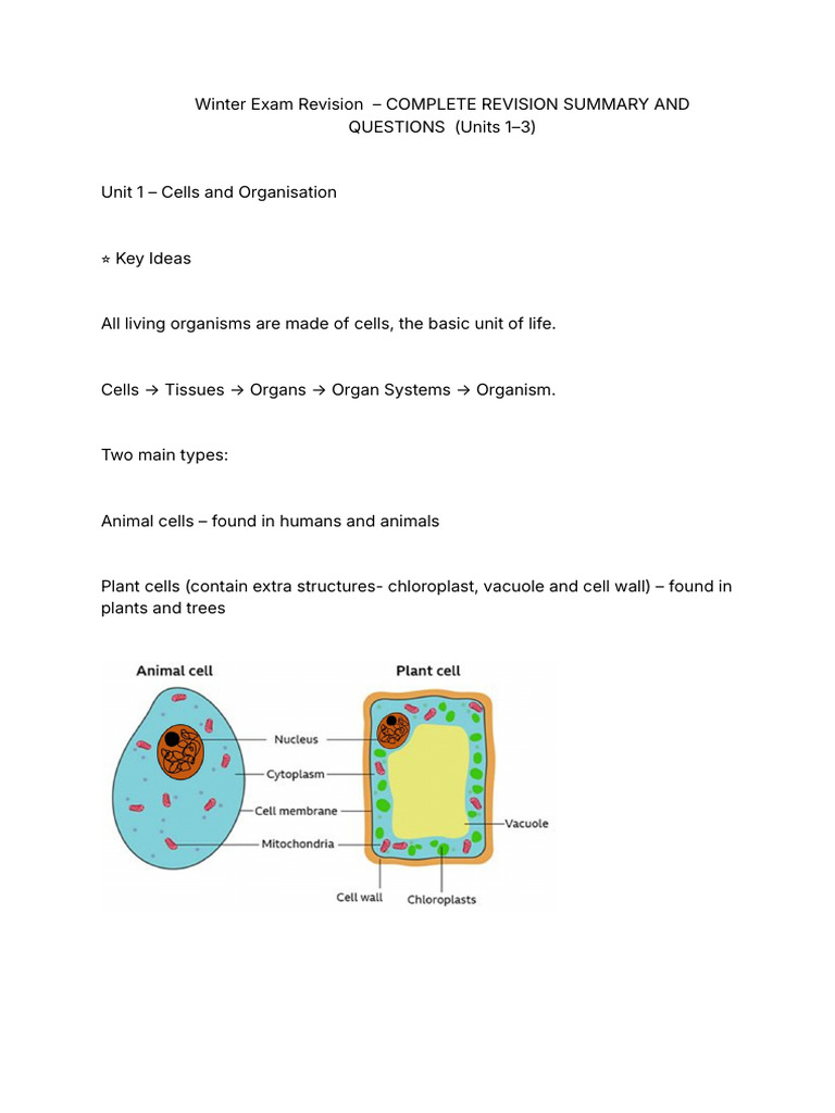 Y7 Winter Exam Summaray and Practice Questions | PDF | Force | Liquids