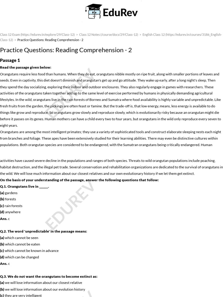 Class 12 English Reading Comprehension | PDF | Orangutan | Zoology