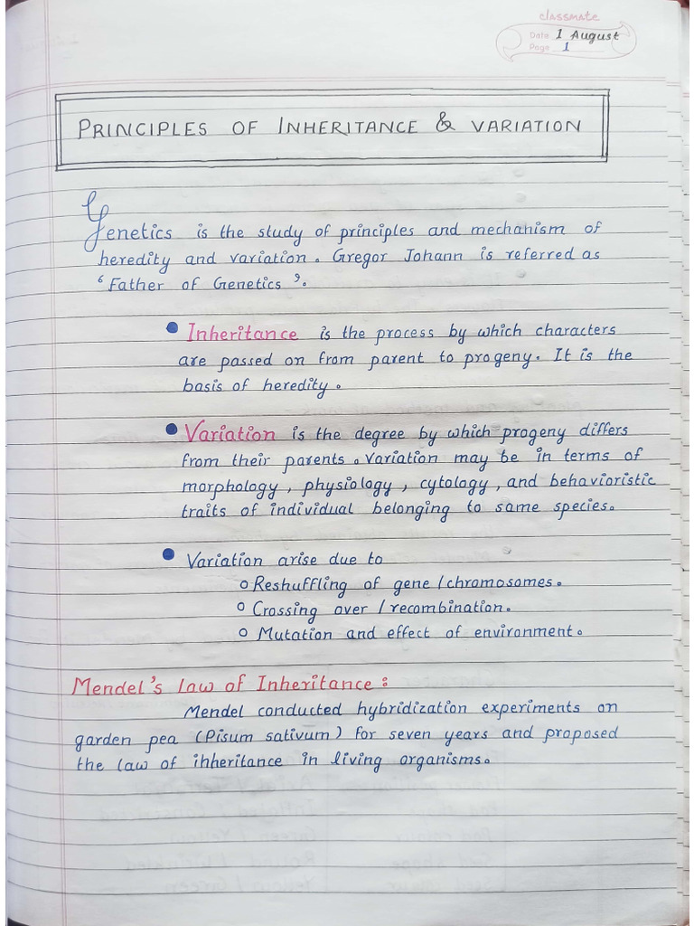 Principles of Inheritance Notes | PDF