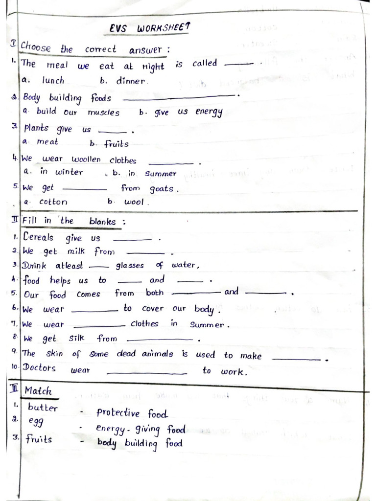 EVS Work Sheet | PDF
