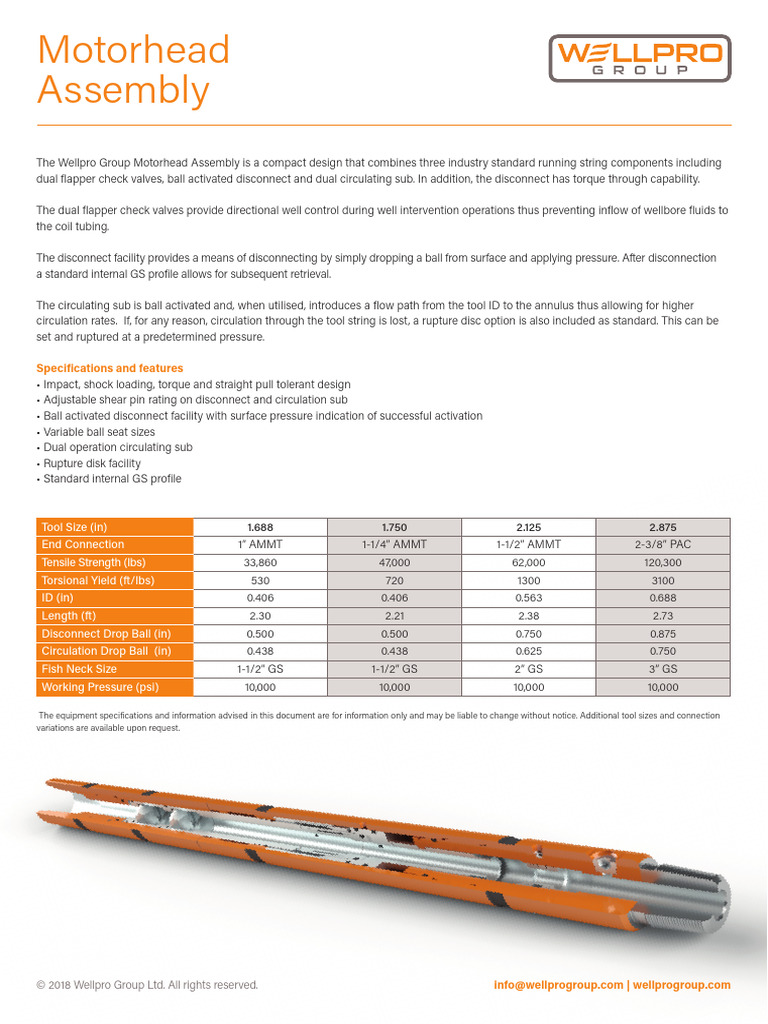Wellpro Group Motorhead Assembly | PDF | Valve | Mechanical Engineering
