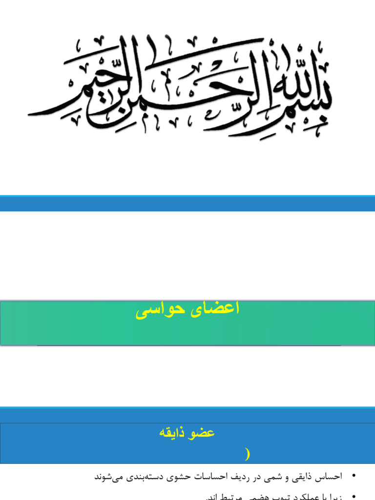 Sense Organs | PDF