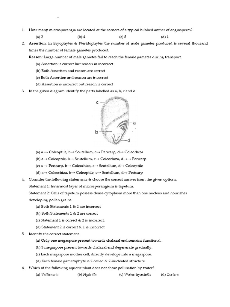 01 KCET Board Exam Biology M1 2021 | PDF | Polymerase Chain Reaction | Dna