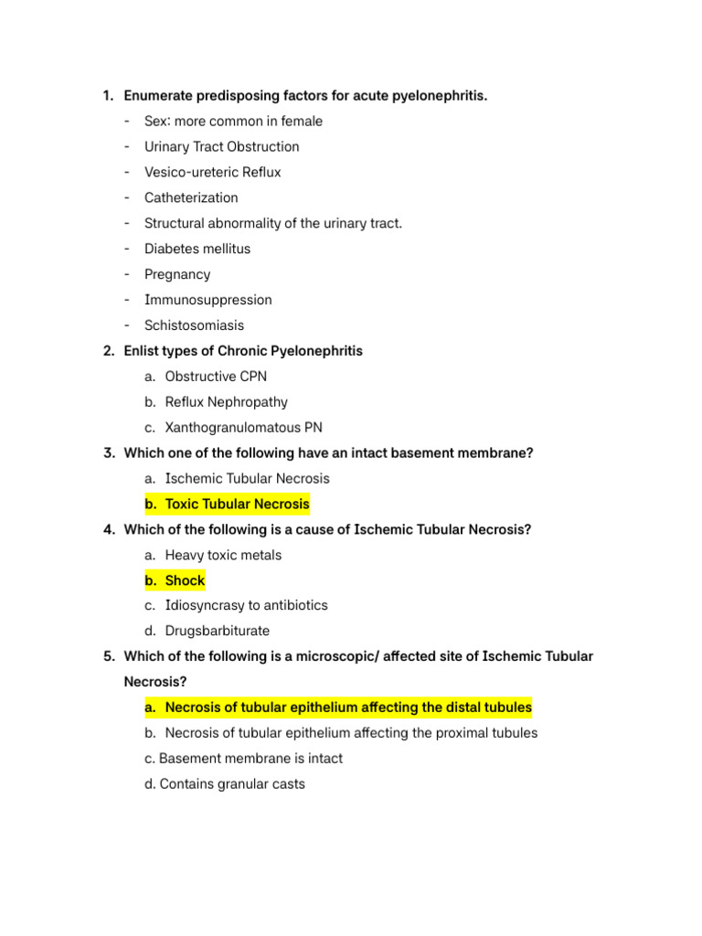 Tubular & Interstitial Kidney Disease Questions Uni | PDF | Kidney ...