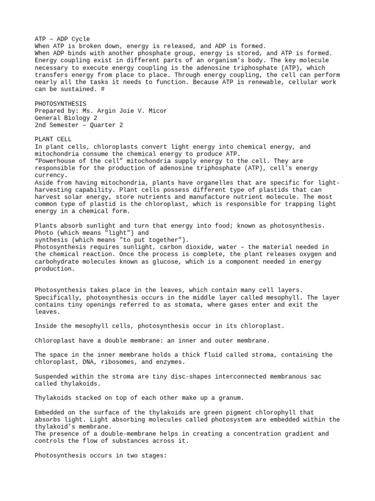 Gen Bio - Photosynthesis | PDF | Photosynthesis | Chloroplast