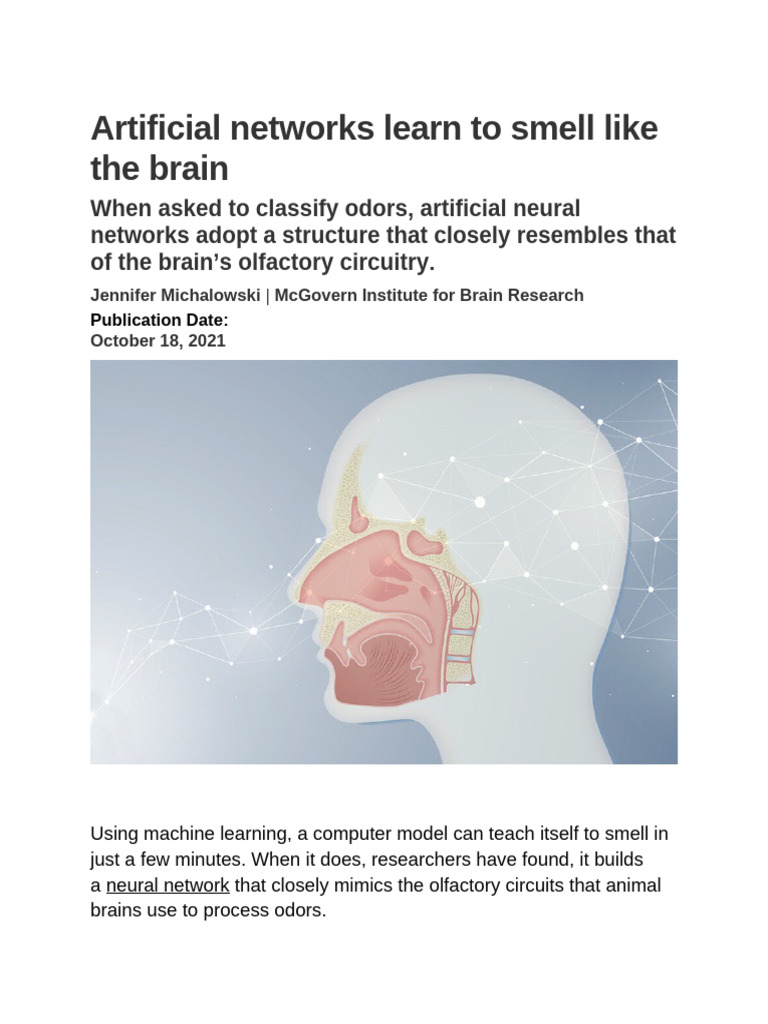 Artificial Networks Learn To Smell Like The Brain | PDF | Brain | Odor