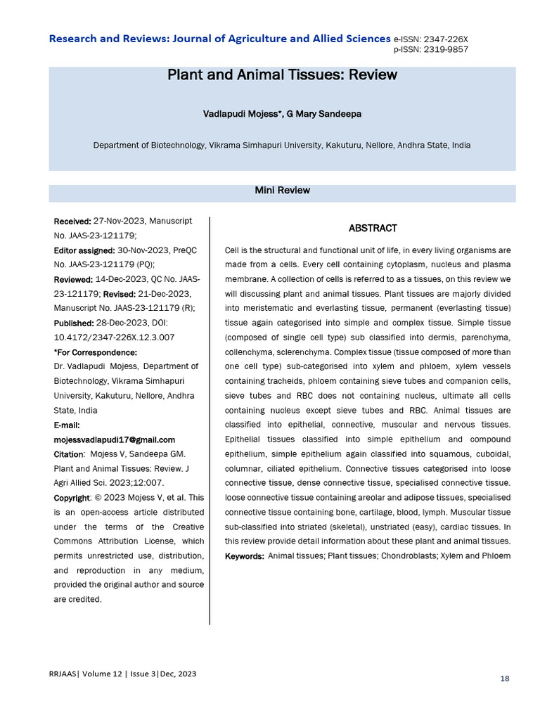 Plant and Animal Tissues Review | PDF | Epithelium | Tissue (Biology)