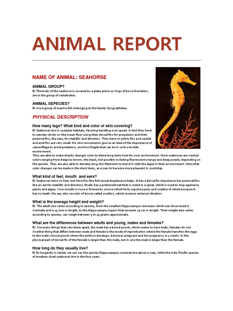 Animal Report | PDF | Nature