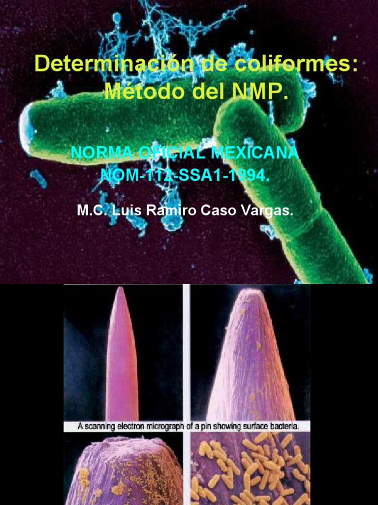 Determinación de coliformes | Procariota | Ciencias de la tierra y de ...
