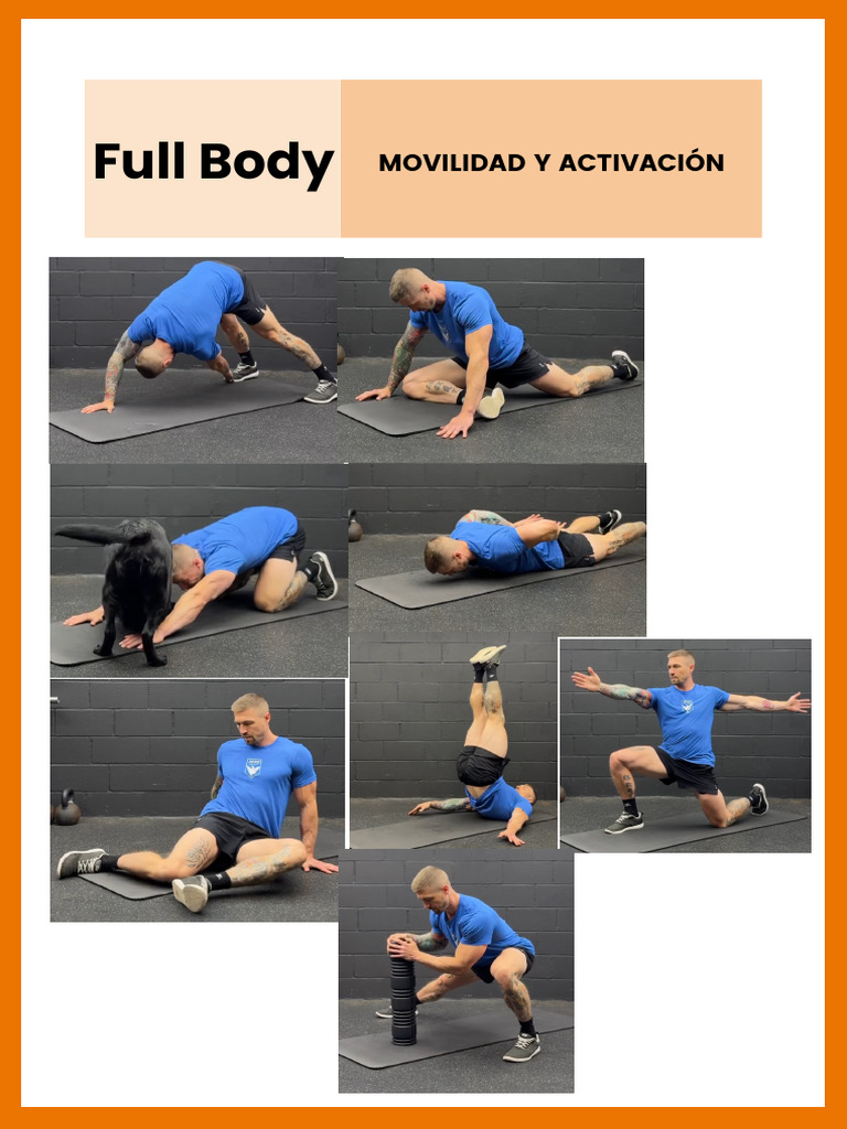 Ful Body | PDF