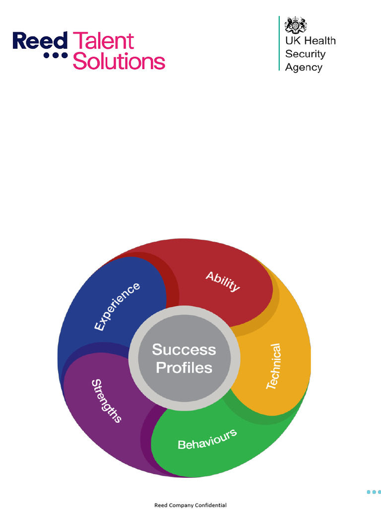 Success Profiles Level 4 Grade 7 or 6 | PDF