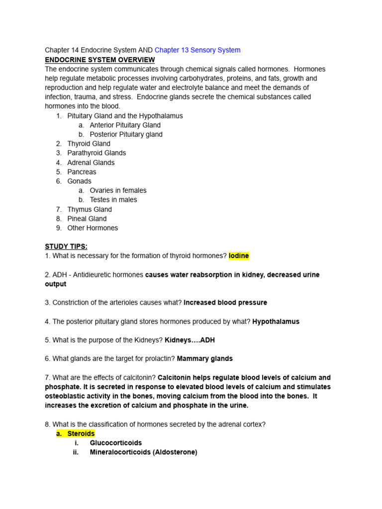 Copy of Quiz 13 Endocrine and Sensory | PDF | Endocrine System ...