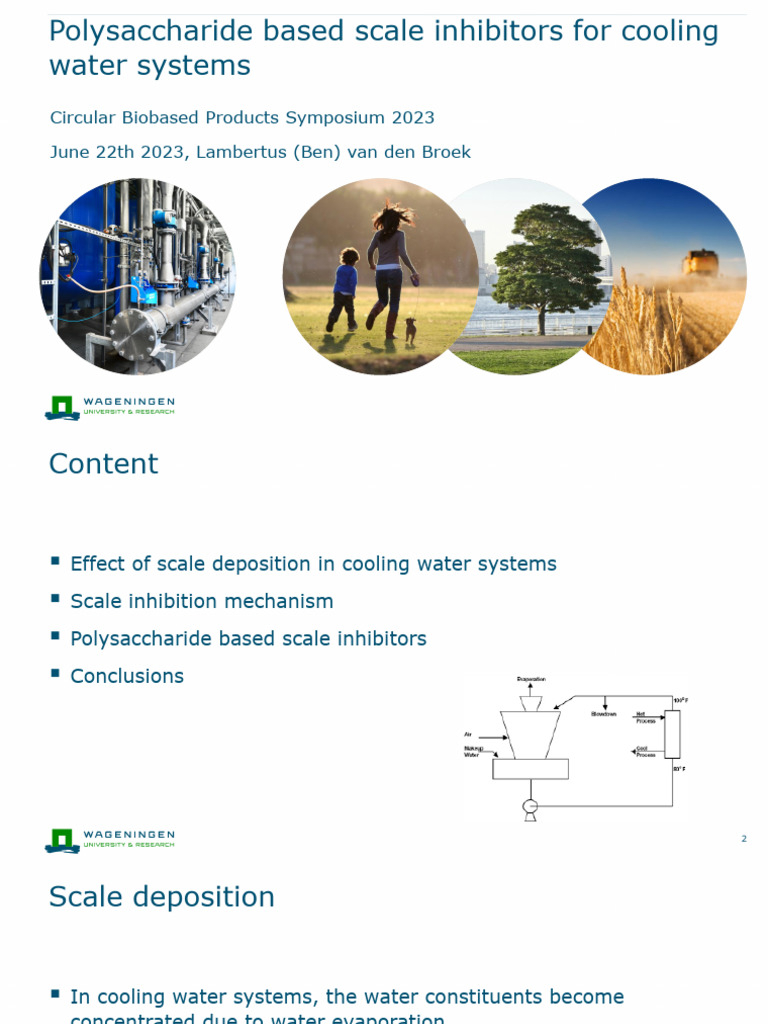 Polysaccharide Scale Inhibitors for Cooling | PDF | Polysaccharide ...