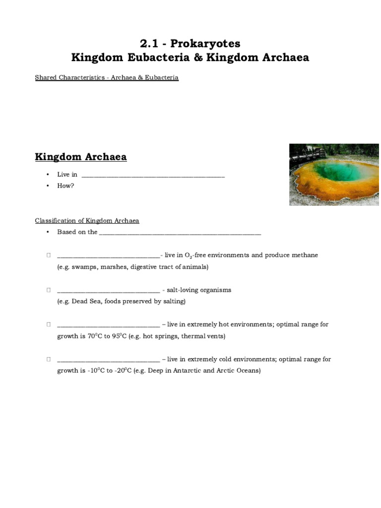 Prokaryotes: Archaea & Eubacteria Overview | PDF | Bacteria | Archaea