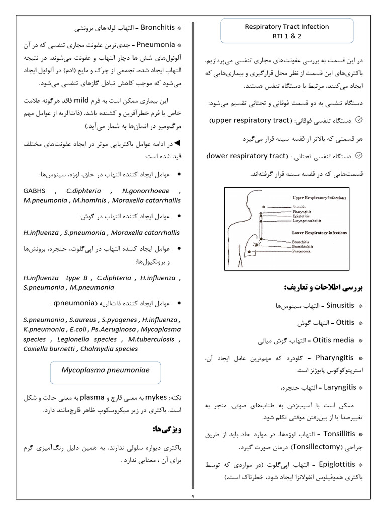 Bronchitis Pneumonia: Respiratory Tract Infection RTI 1 & 2 | PDF