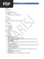X-Ray Positioning for Toes and Sesamoids | PDF