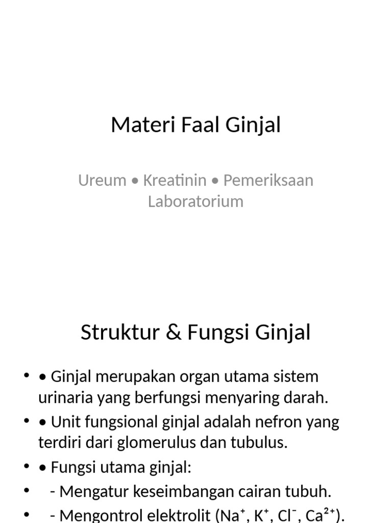 Materi Faal Ginjal Lengkap | PDF