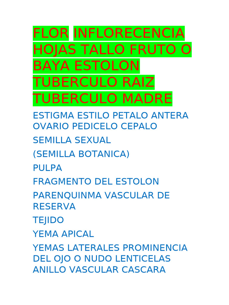 Flor Inflorecencia Hojas Tallo Fruto o Baya Estolon Tuberculo Raiz ...