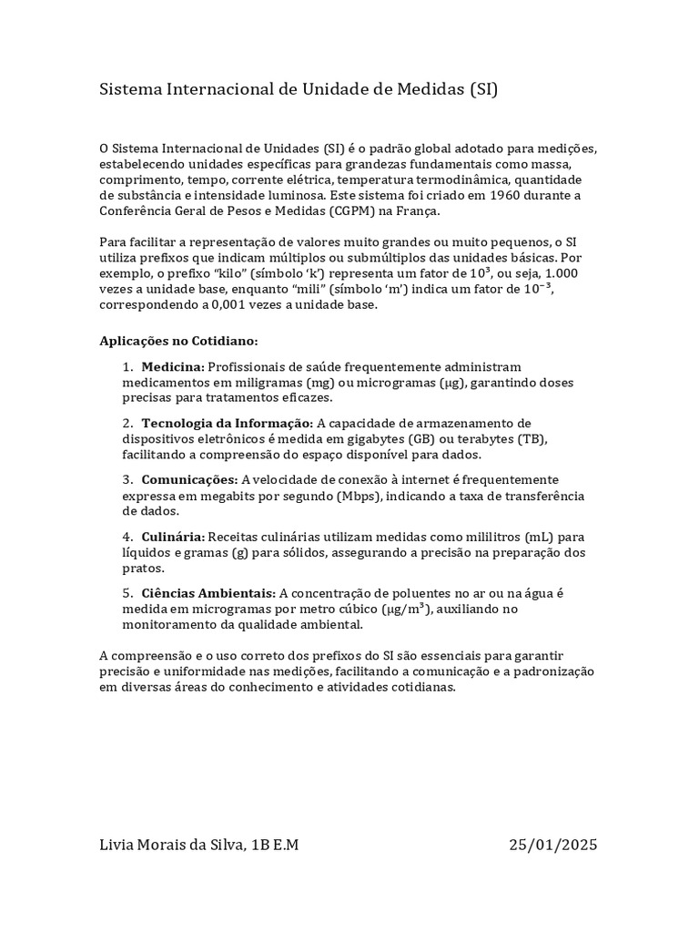 Guia Completo sobre o Sistema SI | PDF