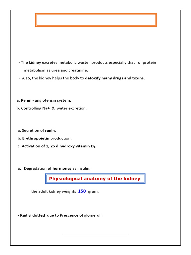 Total Renal Notes | PDF | Kidney