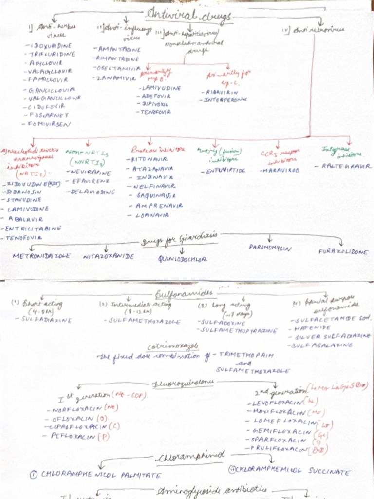 Pharma Handwritten Notes | PDF