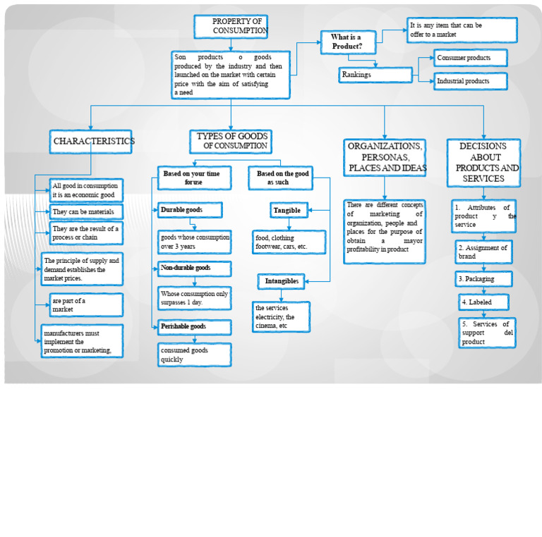 VISUAL ORGANIZER - Consumer Goods | PDF | Goods | Product (Business)
