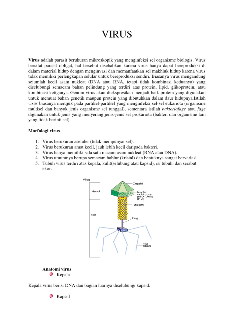 Virus | PDF | Sains & Matematika