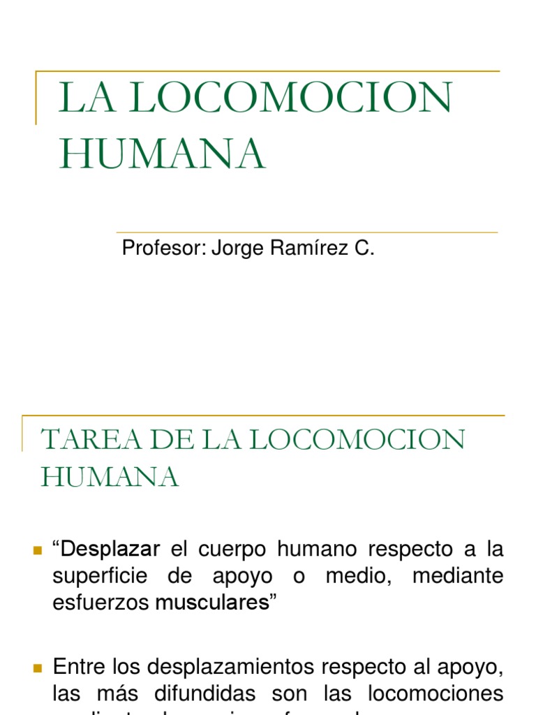 Definición y Tipos de Locomoción Humana | PDF | Dedo del pie | Pie