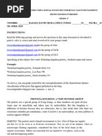Leaf and Leaflet Morphology Guide | PDF | Leaf | Branches Of Botany