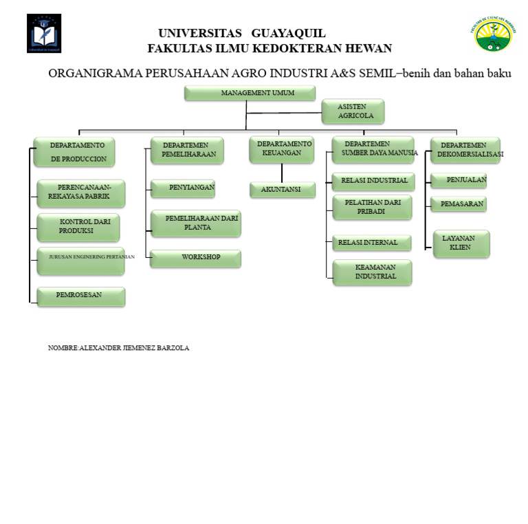 ORGANIGRAM PERUSAHAAN AGRO INDUSTRI AYS SEMIL.docx PDF.pdf | PDF