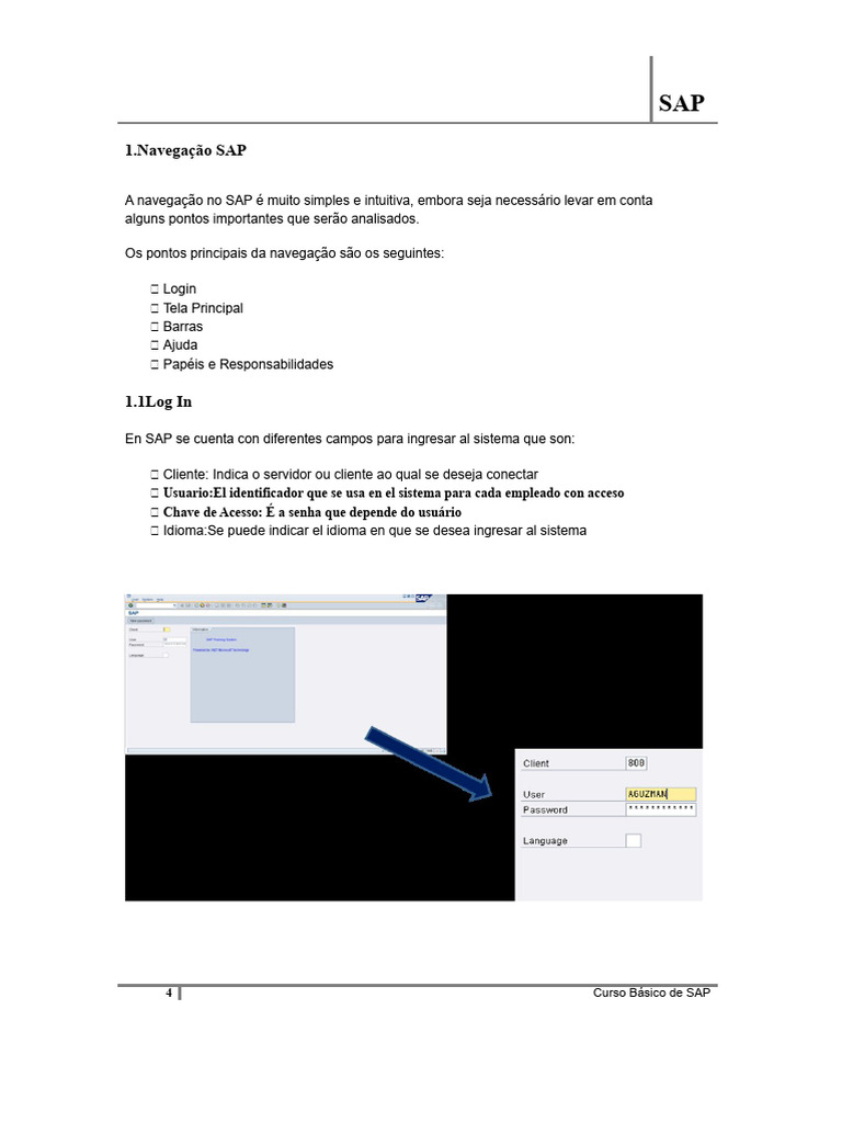 MANUAL SAP | PDF | Gestão de recursos humanos | Tempo