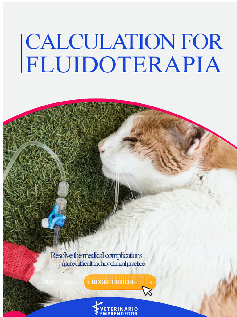 Calculation For Fluid Therapy | PDF | Dehydration | Intravenous Therapy