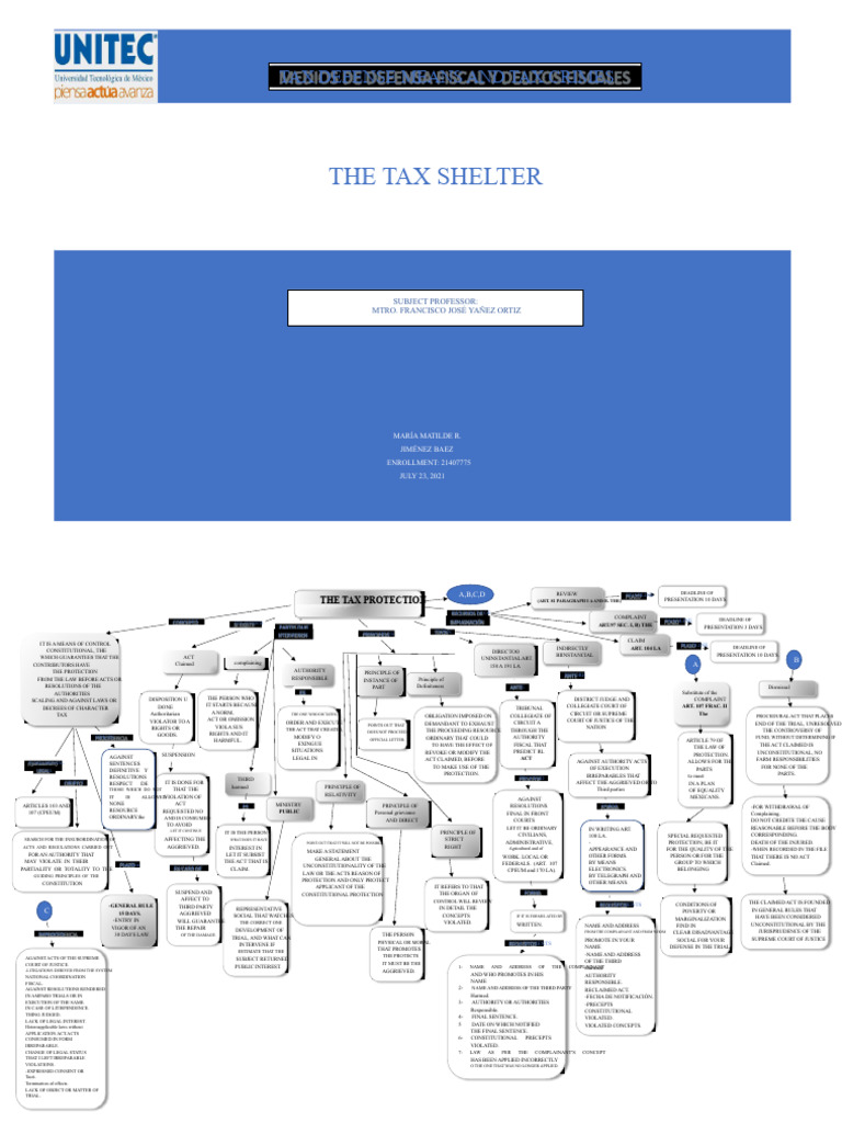 Conceptual Map Tax Protection | PDF | Justice | Crime & Violence