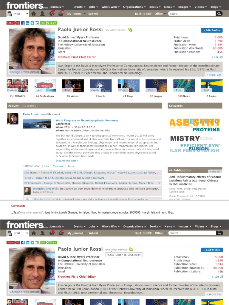 Formatting Guidelines for Name Display | PDF