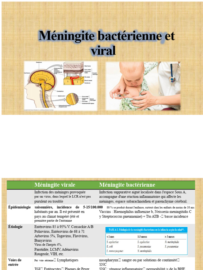 Méningite bactérienne et virale : différences clés | PDF