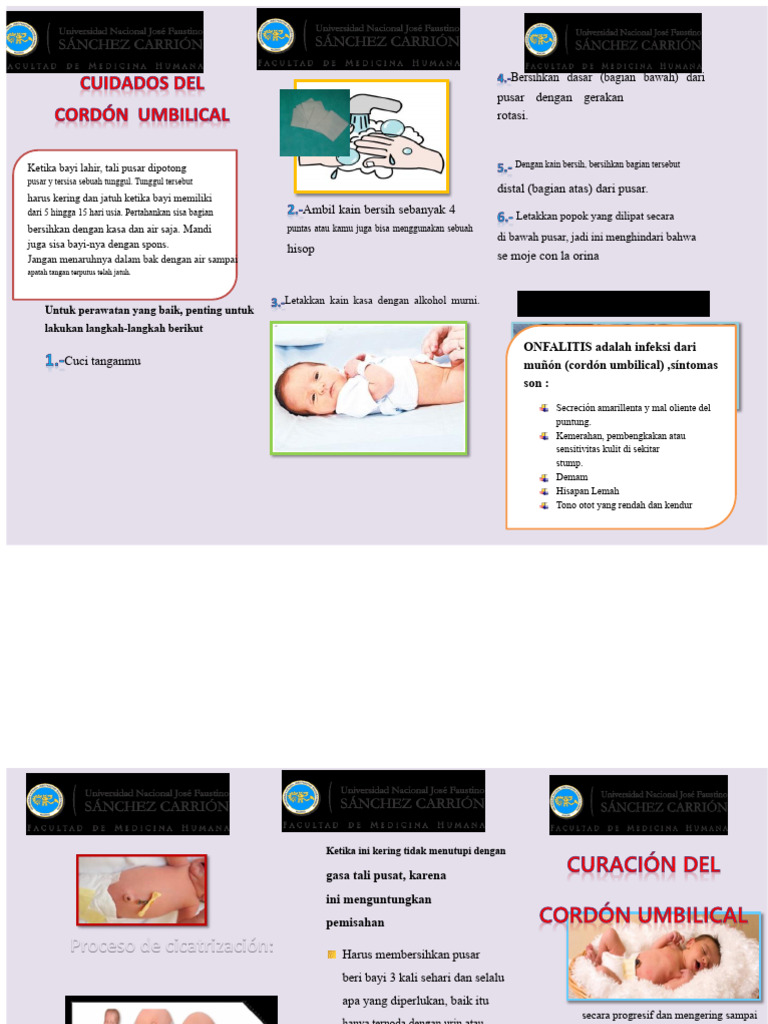 Triptik Tali Pusat 2 | PDF