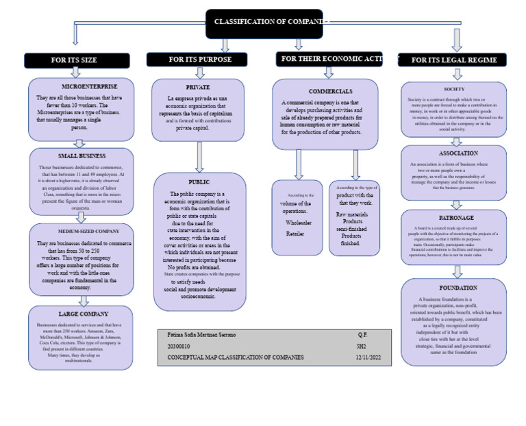 Classification of Companies | PDF | Economics | Employment