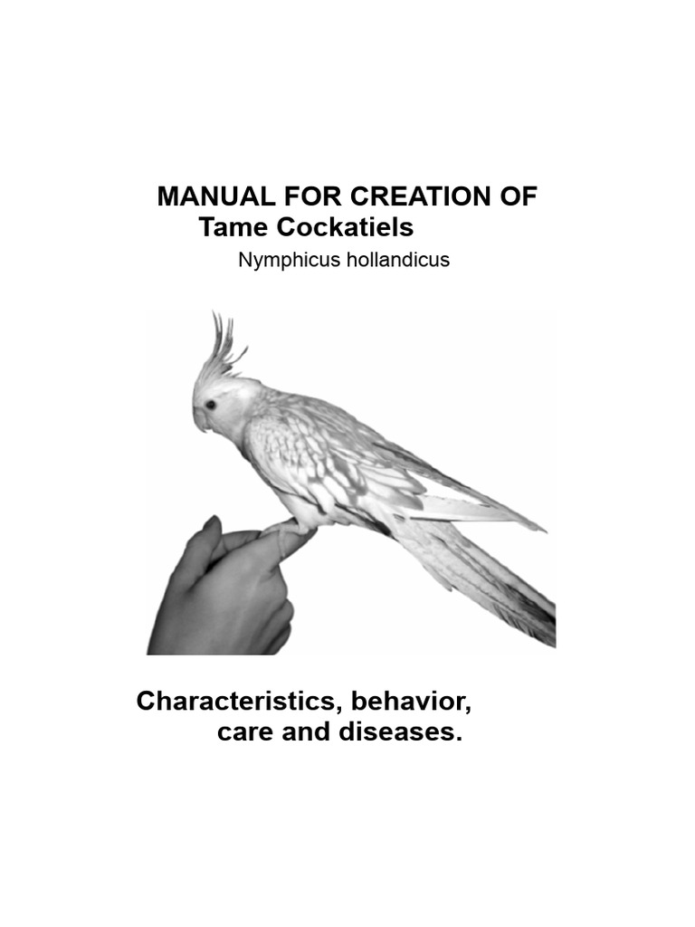 Cockatiel Care and Health Guide | PDF