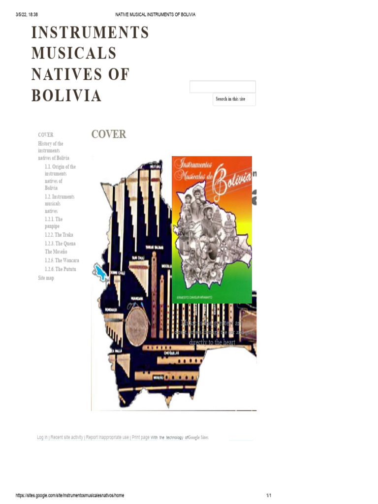 Native Musical Instruments of Bolivia | PDF | Bolivia | Musical Instruments