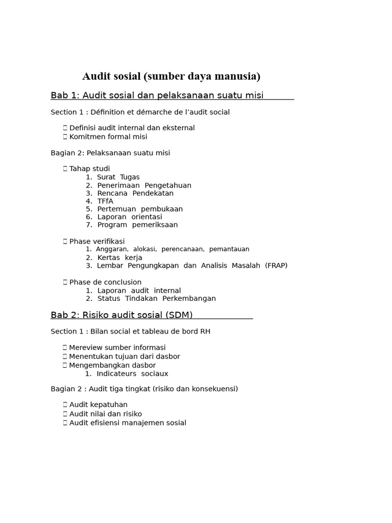 Audit Internal Sumber Daya Manusia (1) | PDF