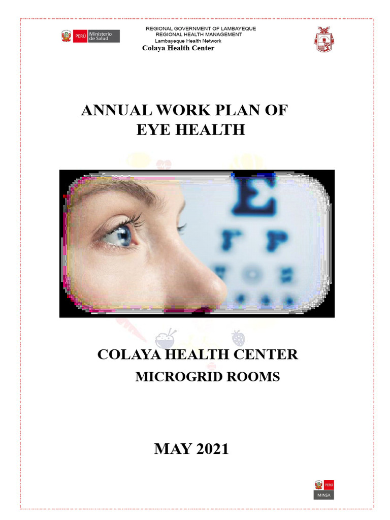 Annual Eye Health Plan for Colaya Center | PDF | Visual Impairment ...