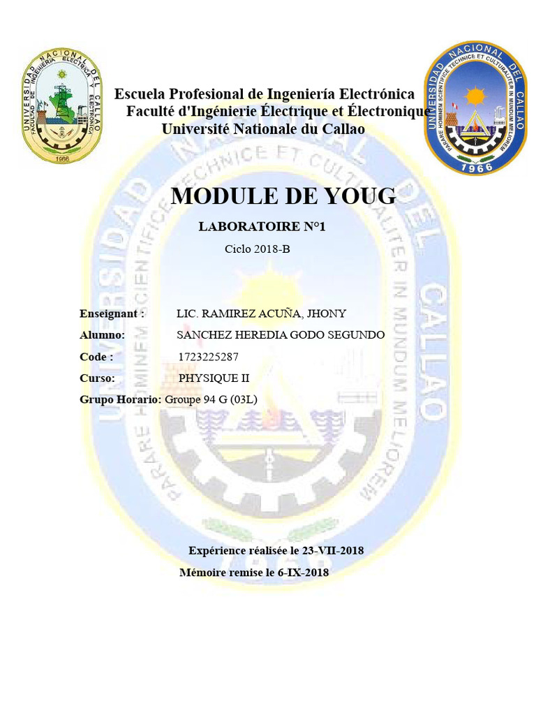 Expérience sur le module de Young | PDF | Élasticité (Physique ...