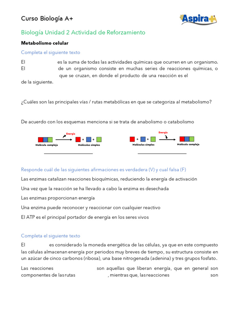Biolog-A Unidad 2 AR | PDF | Respiración celular | Trifosfato de adenosina