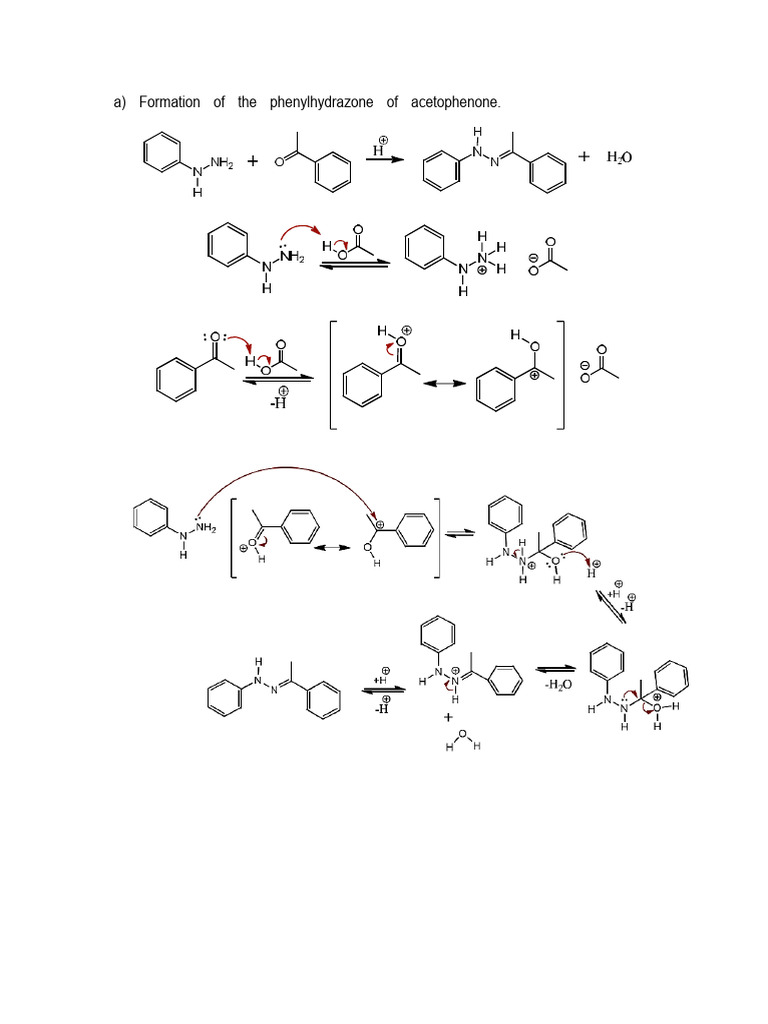 Formation of Phenylhydrazone From Acetophenone | PDF