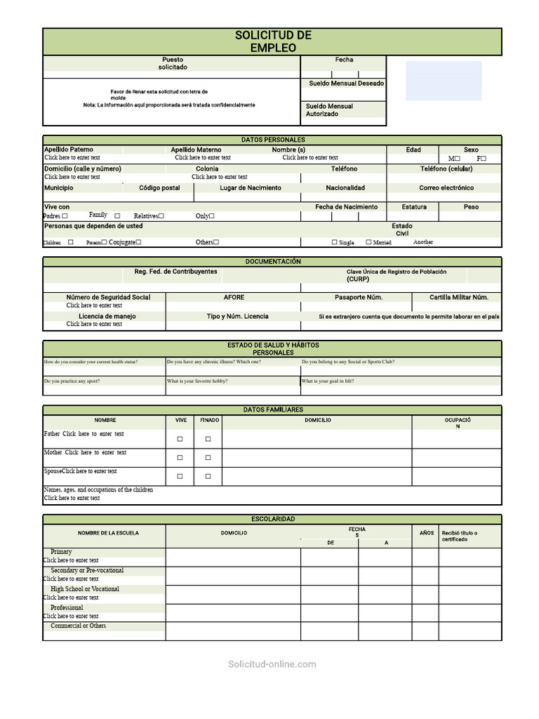 Job Application Editable PDF Green | PDF