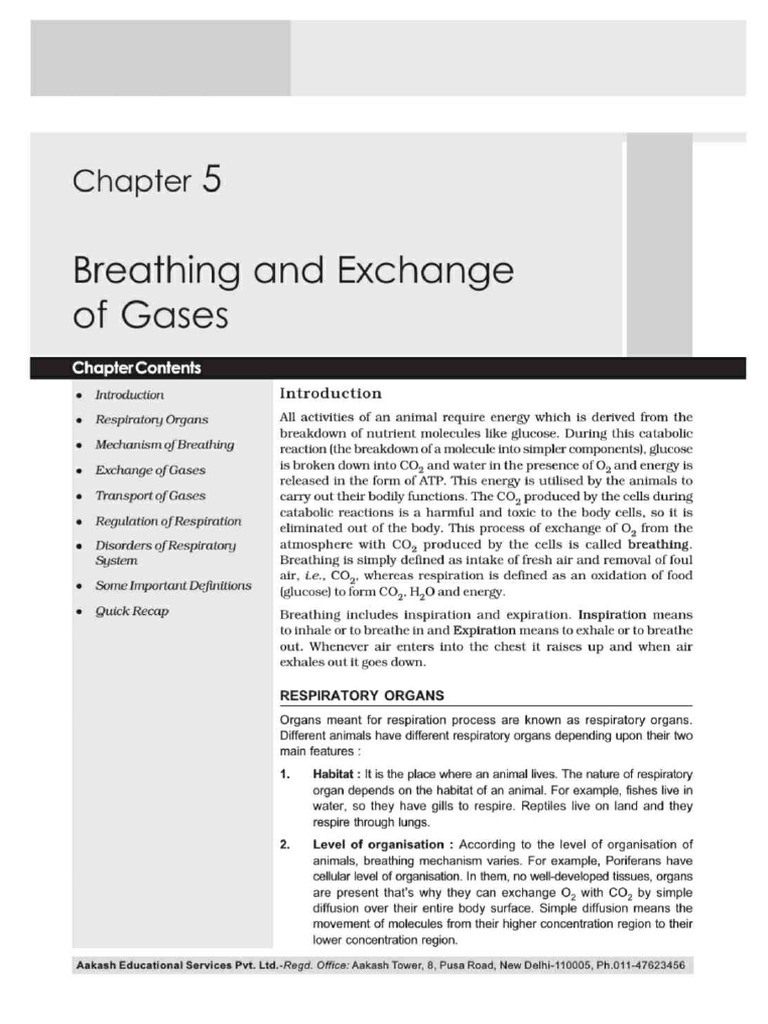 Akash biografi lengkap.pdf | PDF