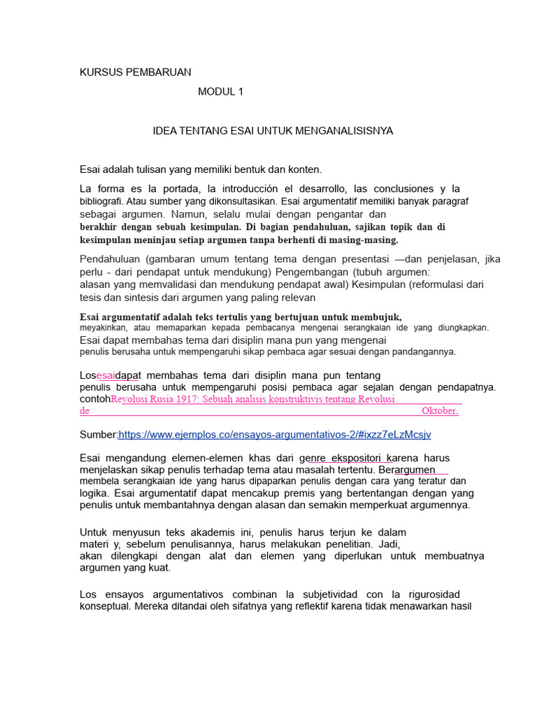 Panduan Menulis Esai Argumentatif | PDF