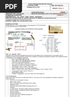 SALT Transcription Conventions Overview | PDF | Grammatical Conjugation ...