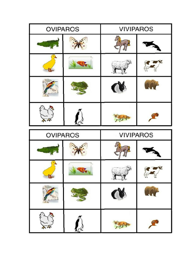 Oviparous and Viviparous Animals Sheet | PDF